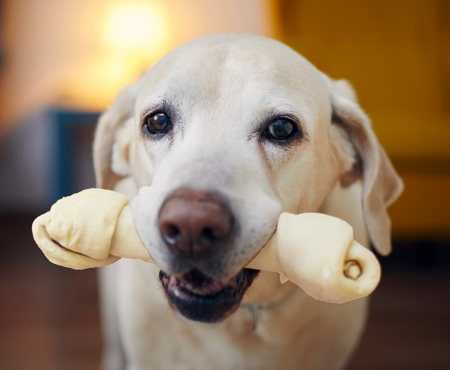 Get to know Rawhide Chews - 123treats